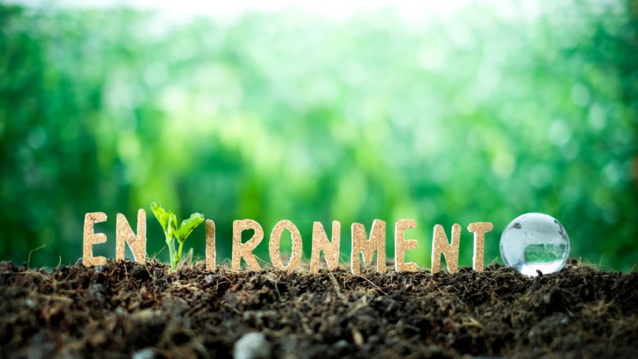 Doing our bit for the environment. - Shoreline Cottages